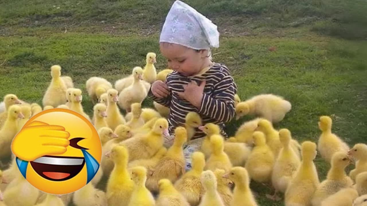 Funniest Animal Videos 2025 😹 When Animals Do the Silliest Things! 😋 #funny_cats #catvideos ...