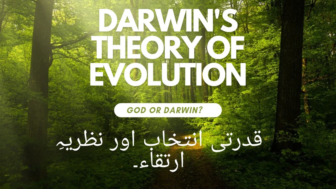 What's Darwin's Theory of Evolution? |God vs Darwin | Evolution ...