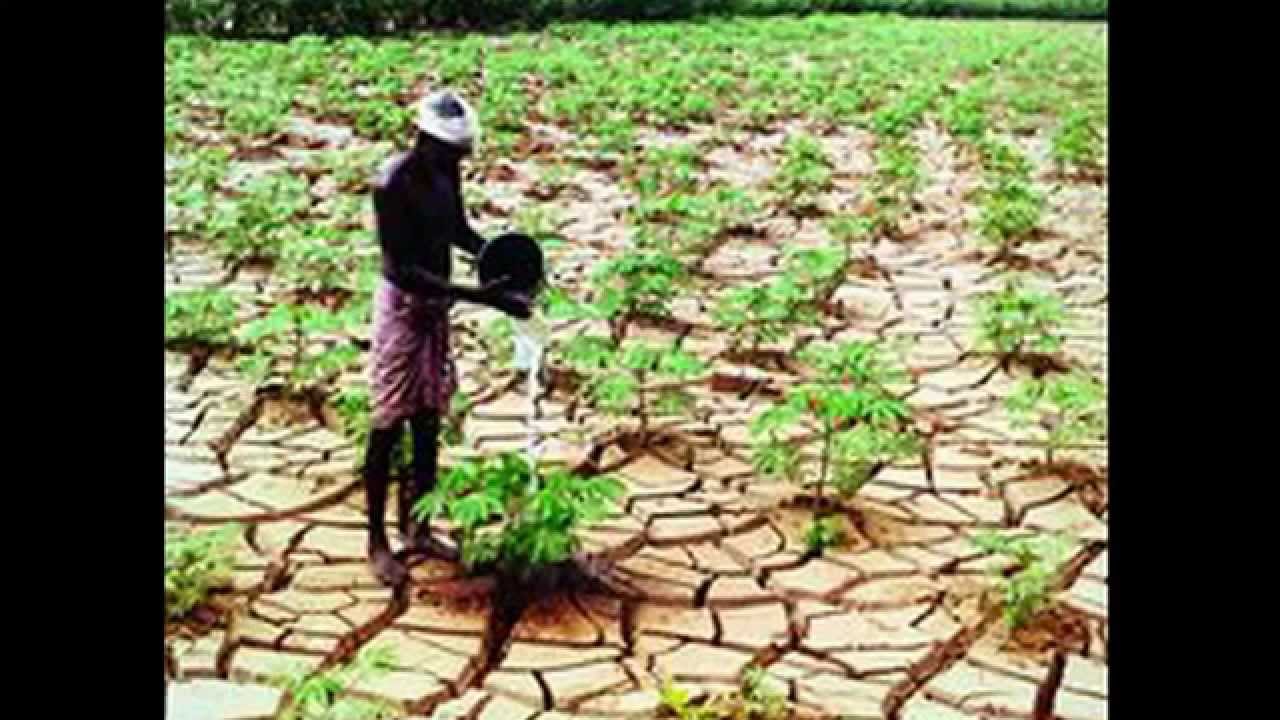 World Day to Combat Desertification and Drought - YouTube