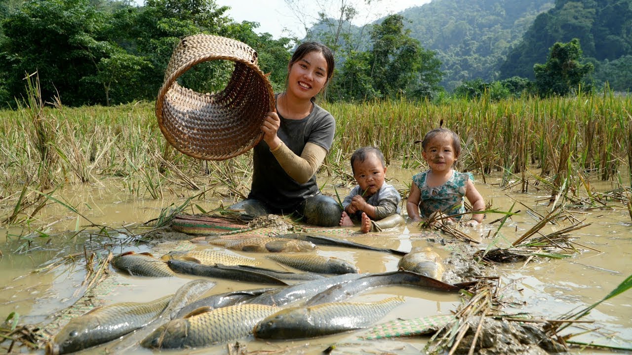 Single mother Catch giant fish to sell at the market - buy clothes to ...