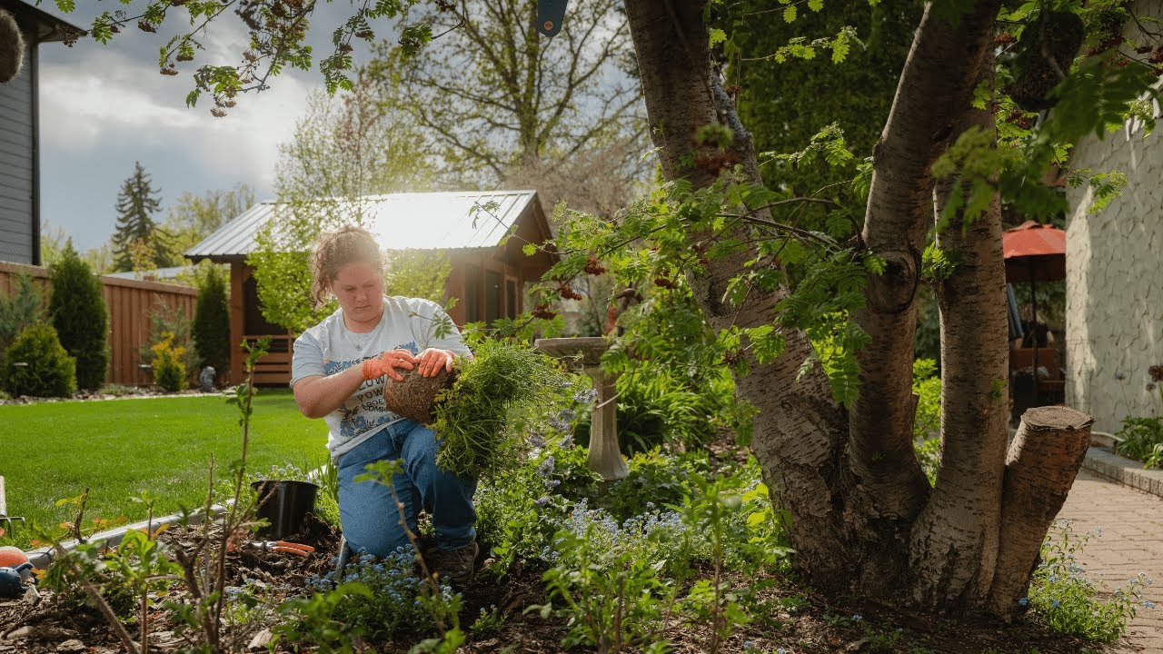 Helping Gardens—and Gardeners—Grow with Flower Power Gardening Company ...