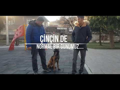 ÇİNÇİN DE NORMAL BİR GÜNÜMÜZ..!!!