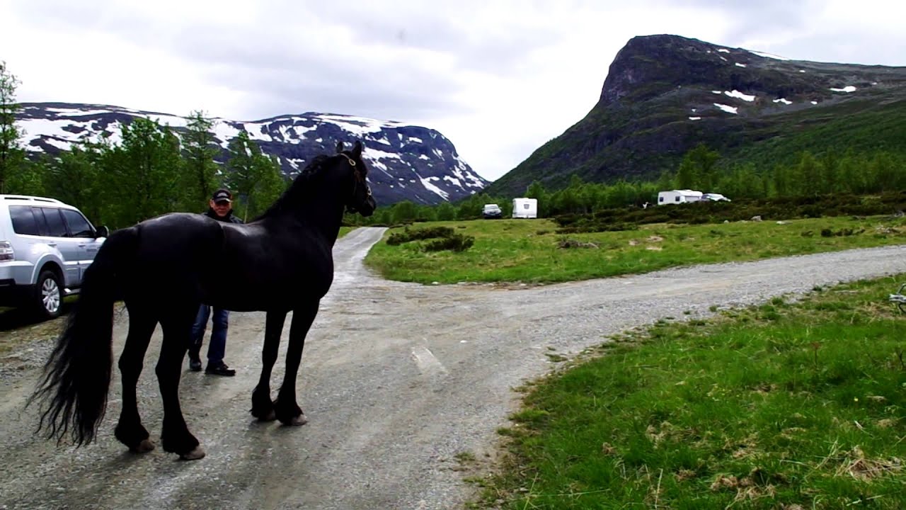 Sikkilsdalen - Alchetron, The Free Social Encyclopedia