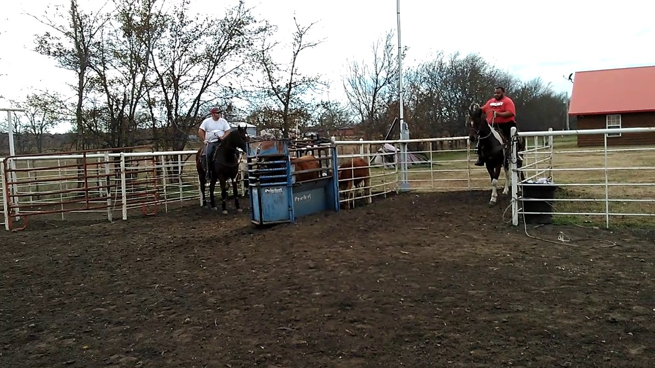Bull & Allan - YouTube