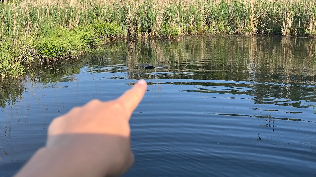 I caught a giant fish inside a flower pot - YouTube