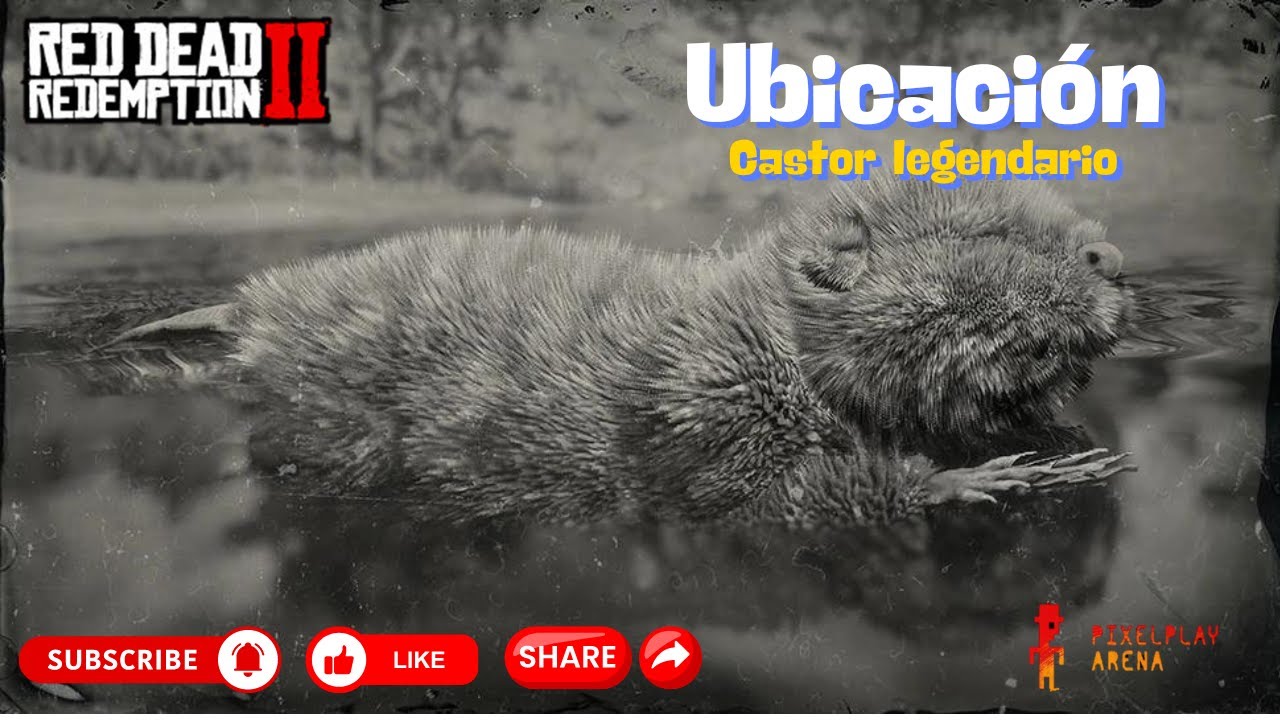Ubicación legendaria del castor en RED DEAD REDEMPTIONS 2 - YouTube