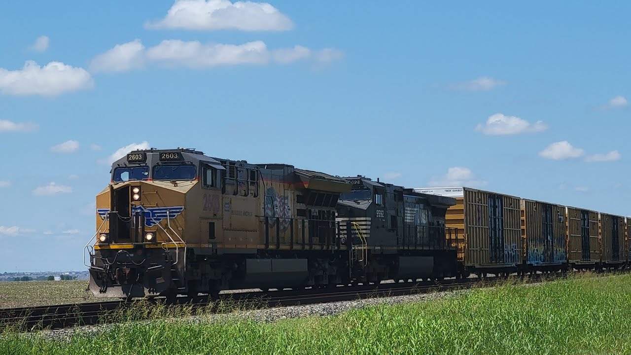 Union Pacific train 2603 leads a northbound mixed freight through hutto ...