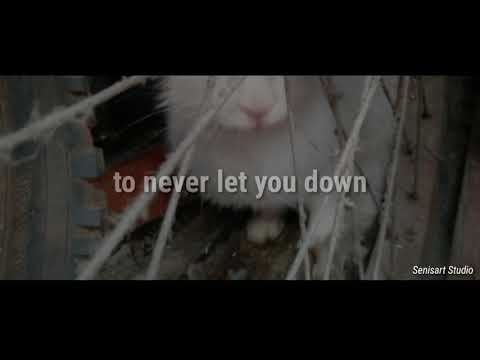 Tie me down lyric (slowmo) ft. my rabbit video
