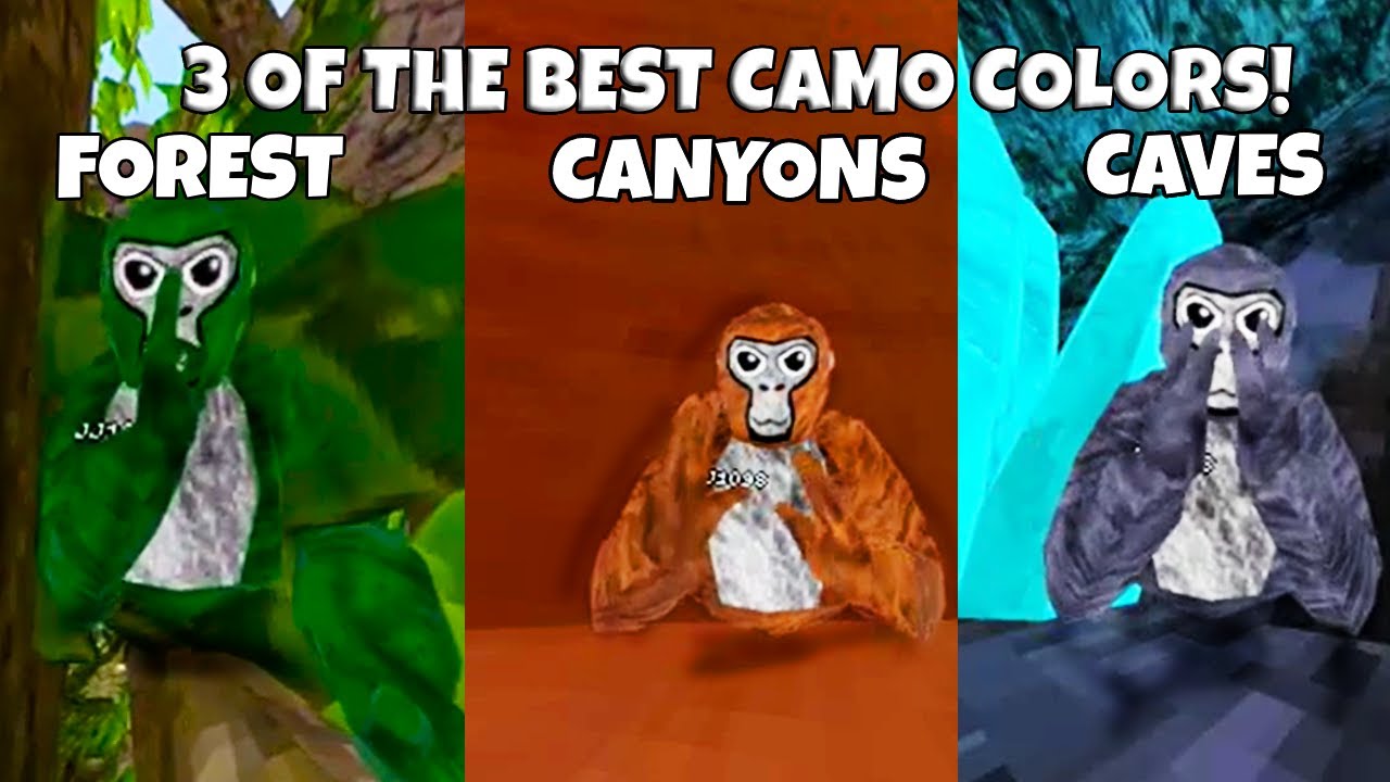 *NOBODY* Can Find Me With These Gorilla Tag Color Codes! - YouTube