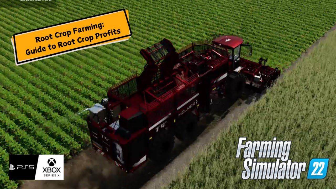 Root Crop Farming: Guide to Root Crop Profits - YouTube