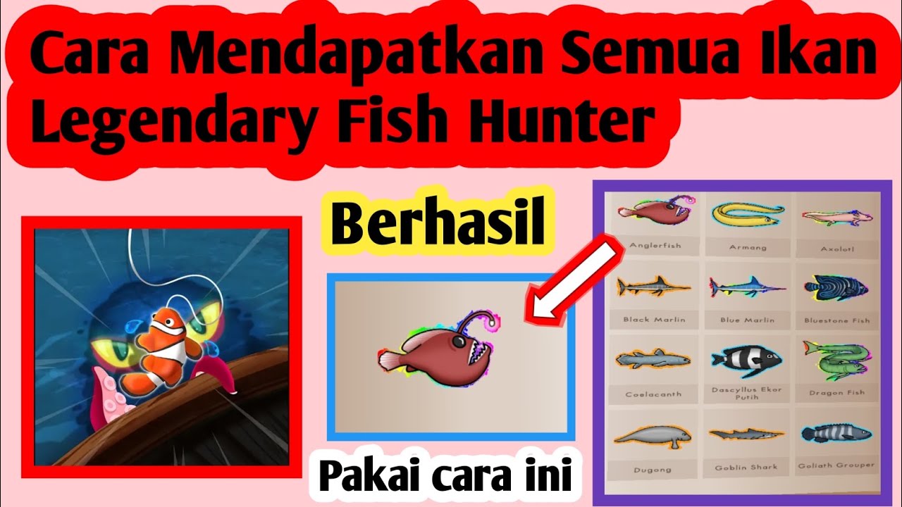 Cara Mendapatkan Ikan Langka Legendary Fish Hunter | Legendary Fish ...