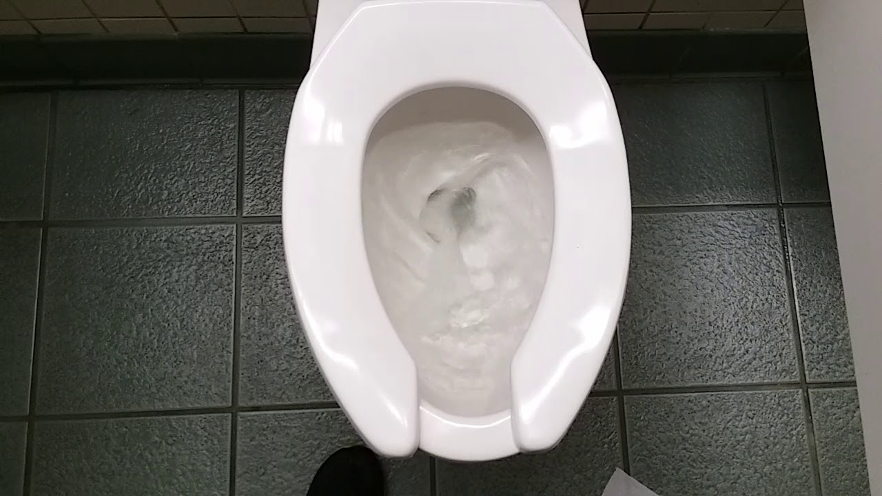 Older Crane Toilet at SeaWorld Orlando - YouTube