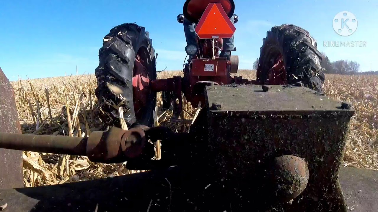 Farmall M chopping corn stalks - YouTube