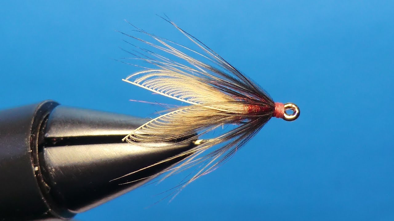 WING WONDER FLY by Giancarlo - YouTube