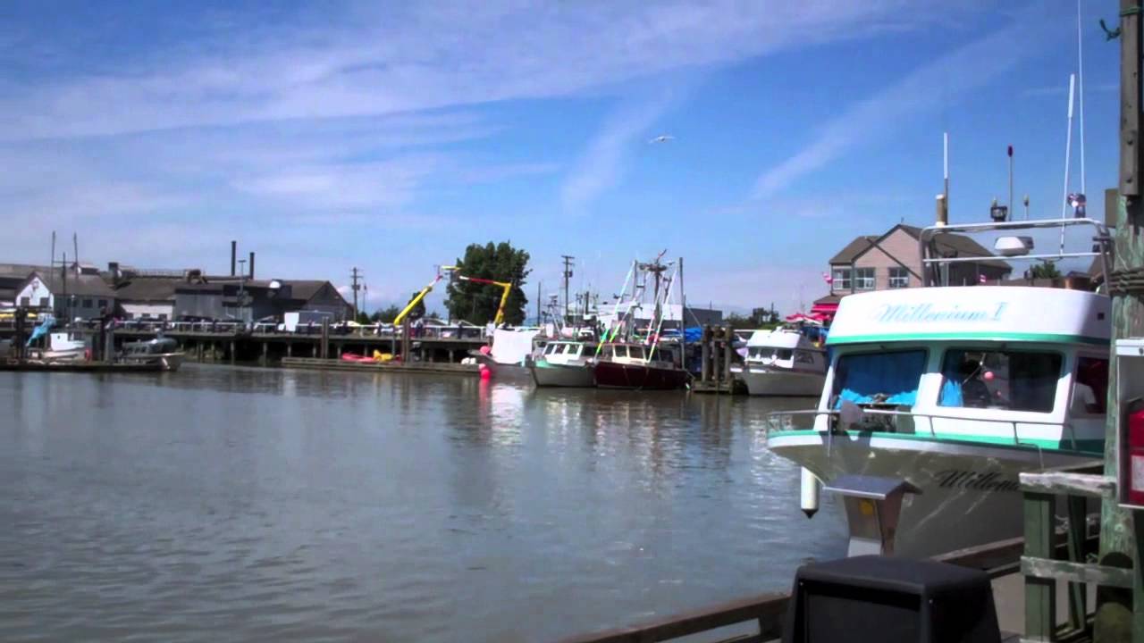 Sea Gulls & Fish Market-Steveston Fishing Village-Richmond, BC - YouTube