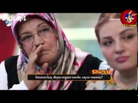 Şansa Bak Cahilleri