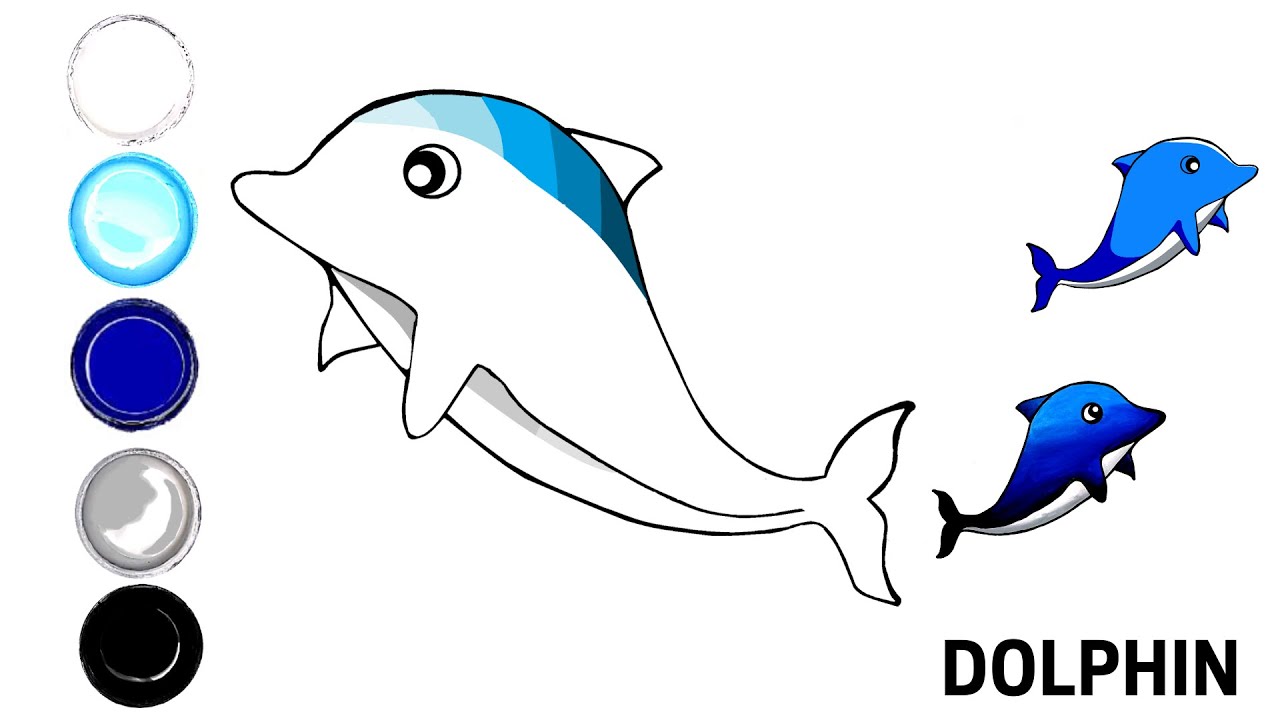 Dolphin Colour and Draw | How to draw step by step easy tutorial [Free ...