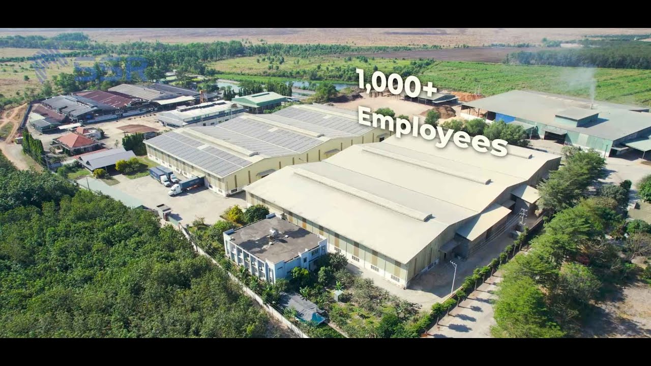 Elevate your projects with SSR VINA's top-tier wood solutions, your ...