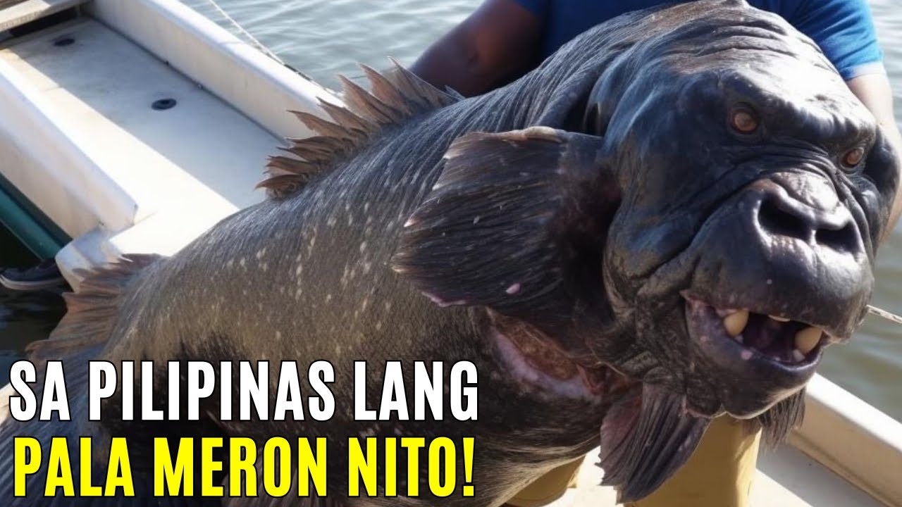 PILIPINAS Lang Pala Makikita Ang Hayop Na Ito | 10 Hindi Karaniwang ...