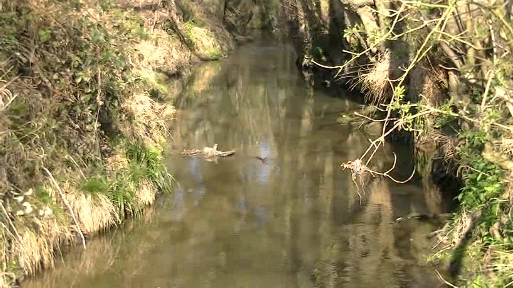 Great Bentley - YouTube