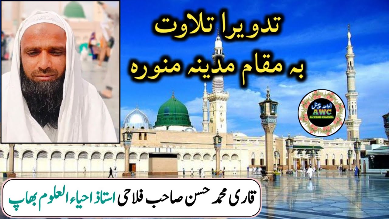 Tilawat Quran Best Voice Qari Muhammed Hasan Falahi | Ustad Ehya Ul ...