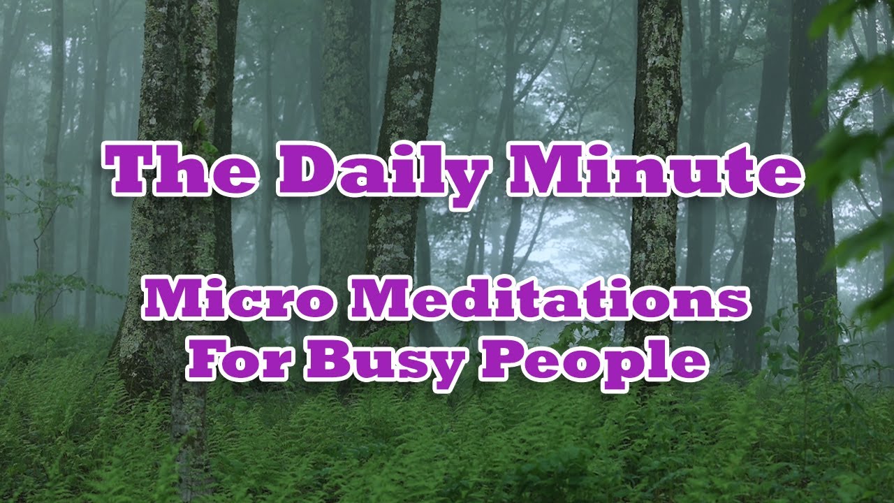 Mindfulness Meditation #79 - The Daily Minute - Micro Meditations for ...