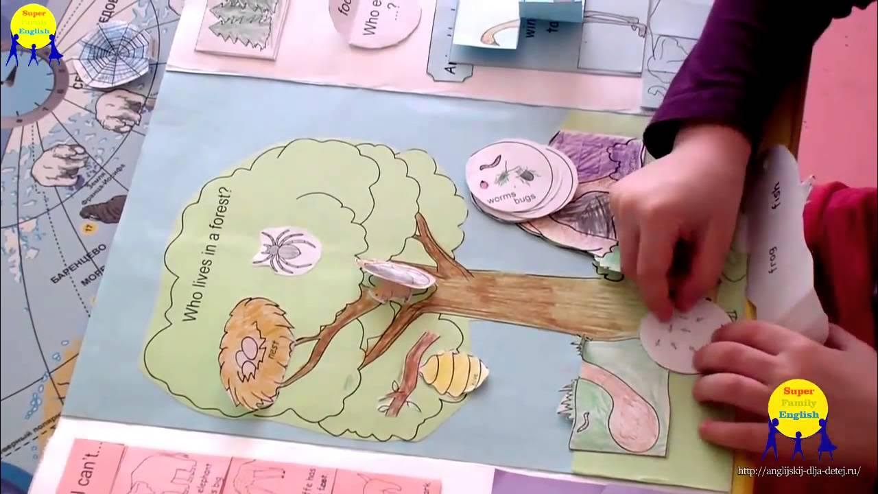 Лэпбук животные - YouTube