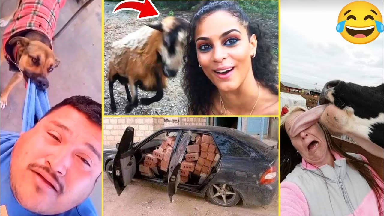 Funniest videos and memes on internet 🤣 you laugh you lose 😆 Ep:-05 ...