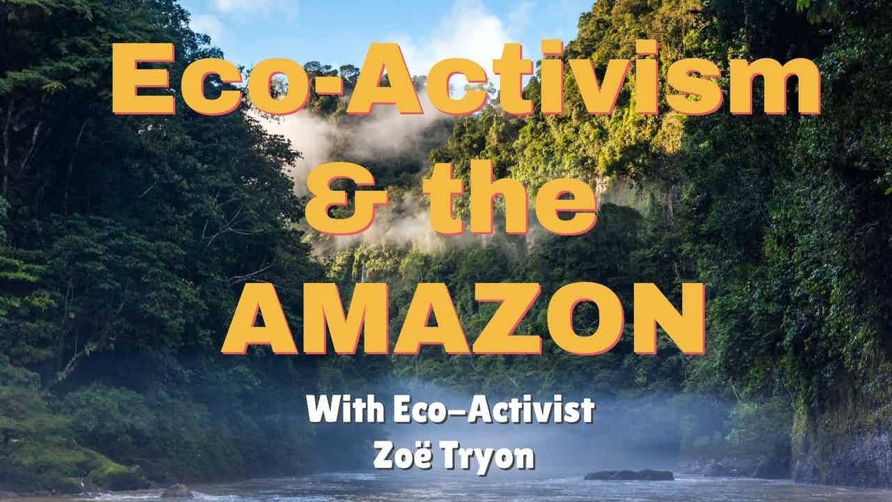 Why the #AmazonRainforest is Important (& What You Can do to Help) 🌺 ...