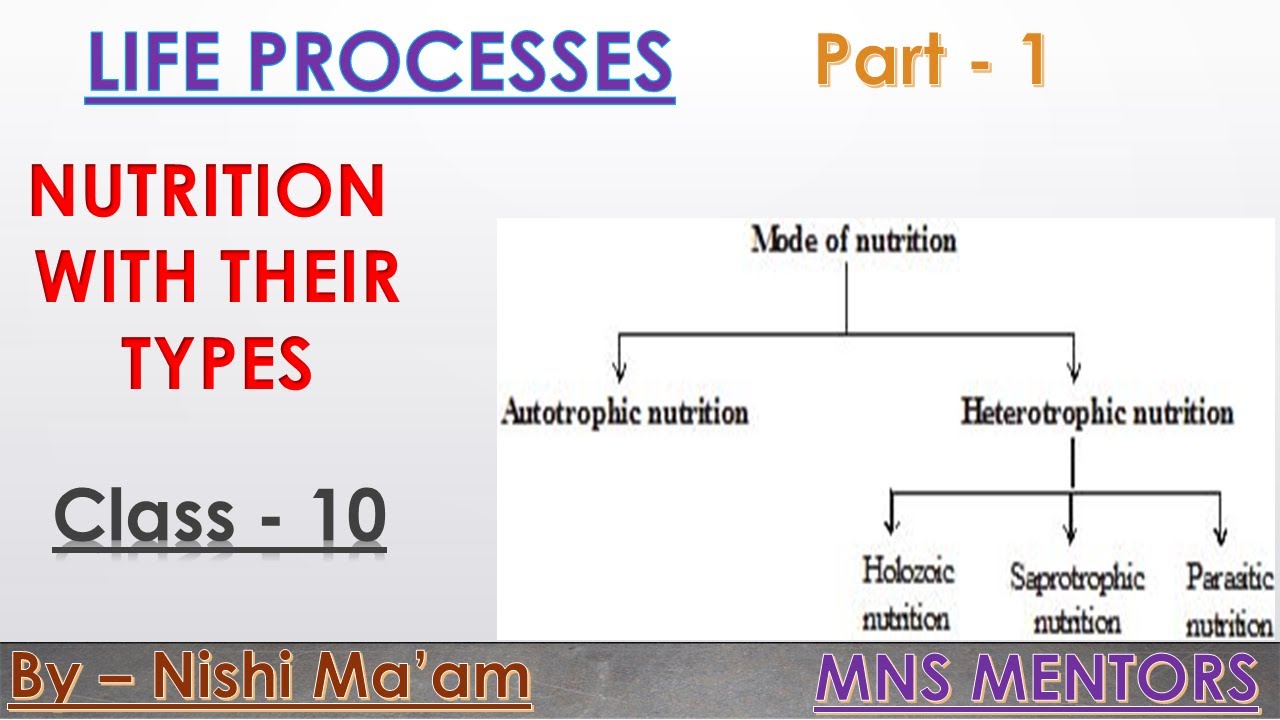 Life Processes Nutrition Class 10 Ncert Biology Nishi Mam Mns