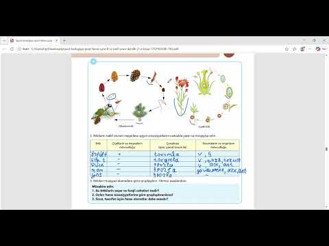 Biologiya 8-si sin.II his.Mövzu 7.3.Bitkilər aləminin təsnifatı.səh. 60.