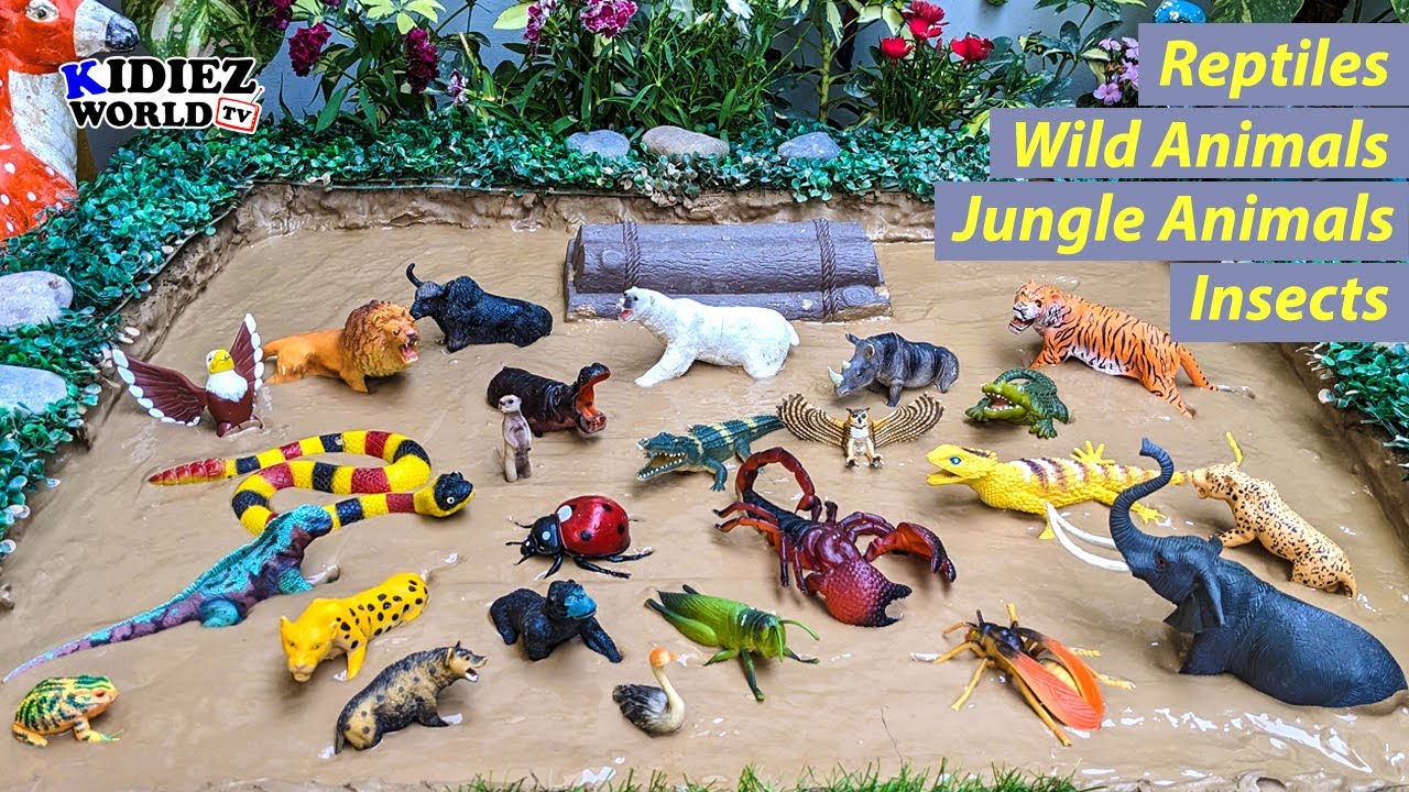 Wild Animals for Kids, Jungle Animals, Reptiles and Insects Muddy ...