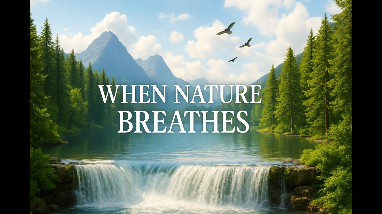 When Nature Breath | Clouds, Birds & Forests in Harmony 🐦🌲☁ - YouTube