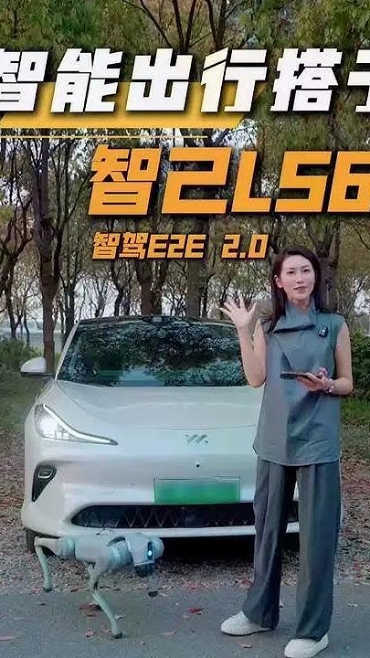 不是说赛博小狗很智能吗？怎么出门尴尬的是我？#汽车人共创计划#满血版Momenta就看智己#智己LS6 - YouTube