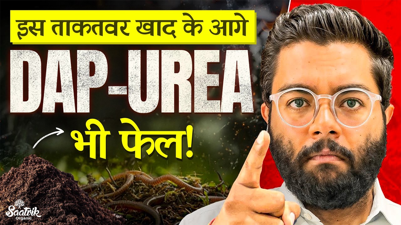 5 Bio Fertilizers That Can Replace DAP–Urea in Organic Farming ...