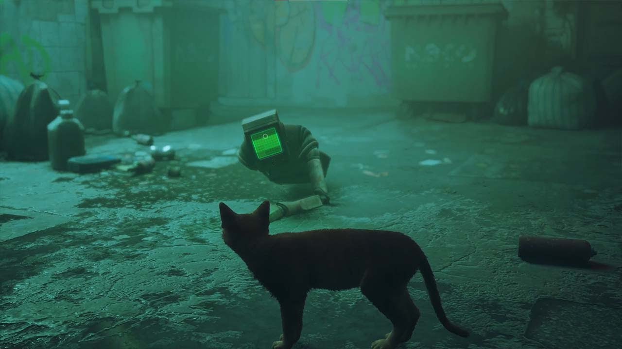 Stray // First Segment - YouTube