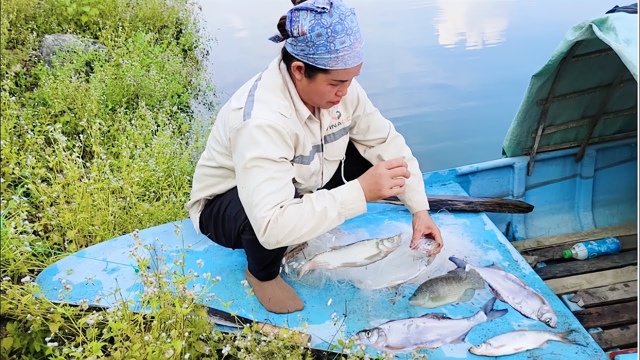 Process of Harvesting Fish on a natural lake - Grilling fish - Cooking ...