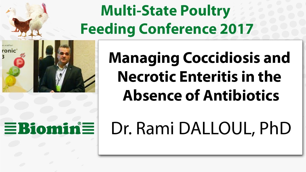 Managing Coccidiosis and Necrotic Enteritis in the Absence of ...
