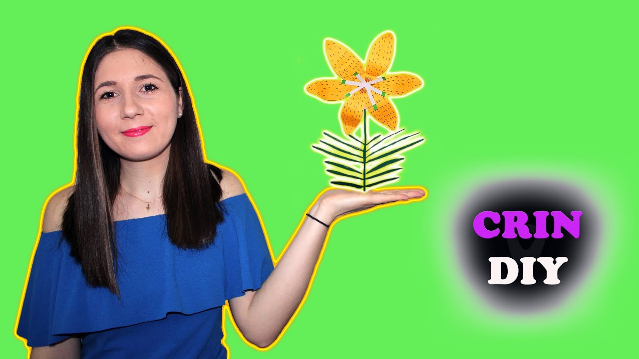 Crin imperial (2020) DIY - YouTube