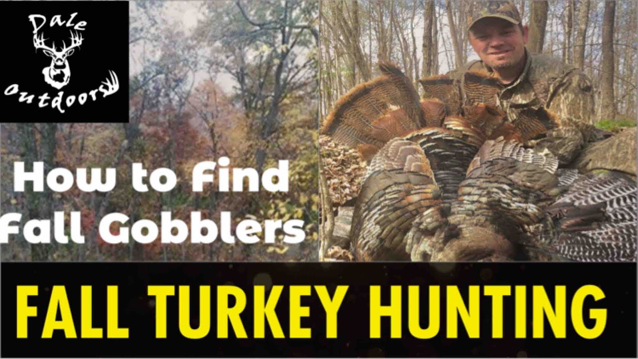 FALL TURKEY HUNTING/ How to Find Fall Gobblers - YouTube