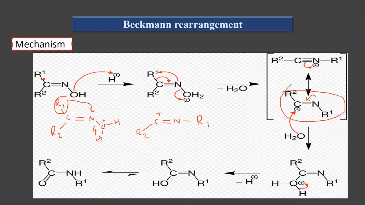 Beckmann's Rearrangement || Oxime to Amide || Migratory aptitude ...
