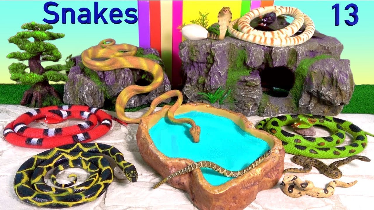 Snakes Serpent Reptile Viper Basilisk Vermin Slithery Nope Ropes 13 ...