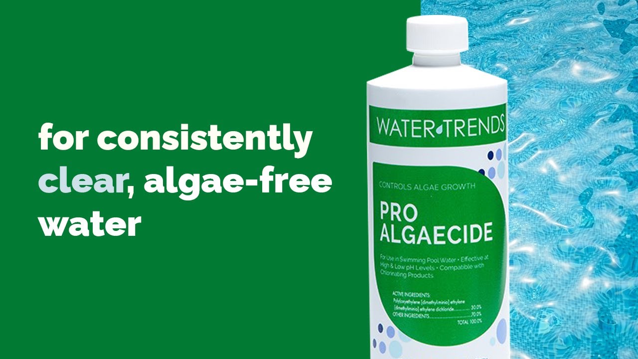 Defeat Algae with Ease with Pro Algaecide - YouTube