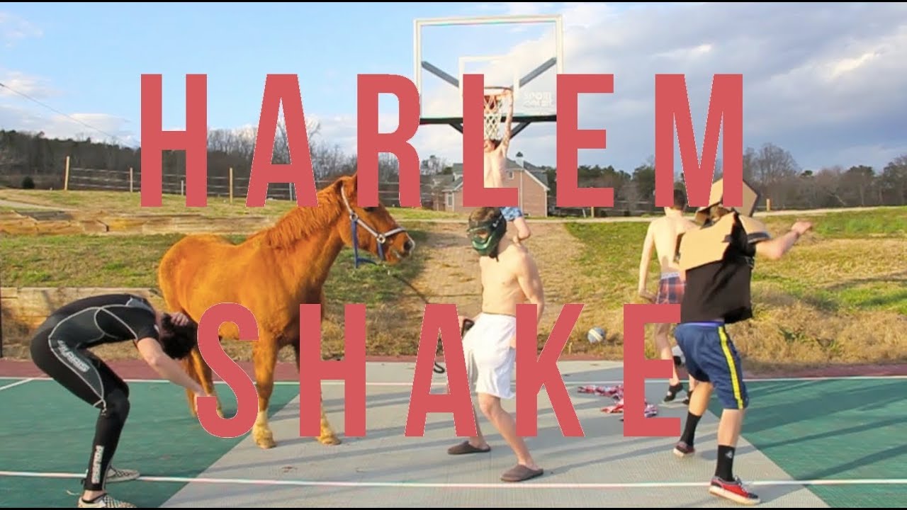 Harlem Shake (Horse Edition ORIGINAL) - YouTube