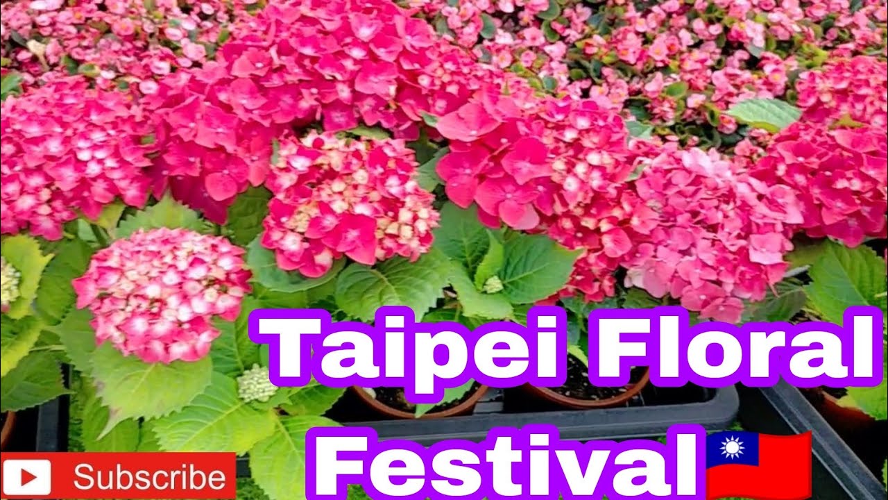 TAIPEI TAIWAN FLORAL FESTIVAL#trending #viral #taiwan #flowers # ...