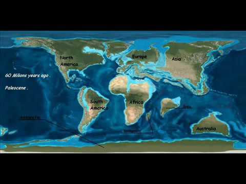 The Geological Periods of Earth - YouTube