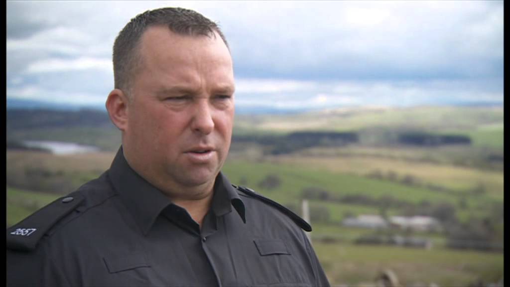 Missing Hen Harriers report - YouTube