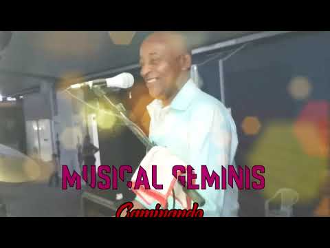 Musical Geminis - Caminando