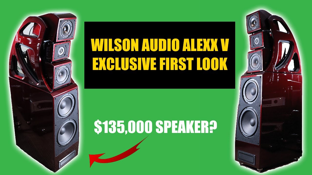 WILSON AUDIO ALEXX V | One of the most Extreme Speakers - YouTube