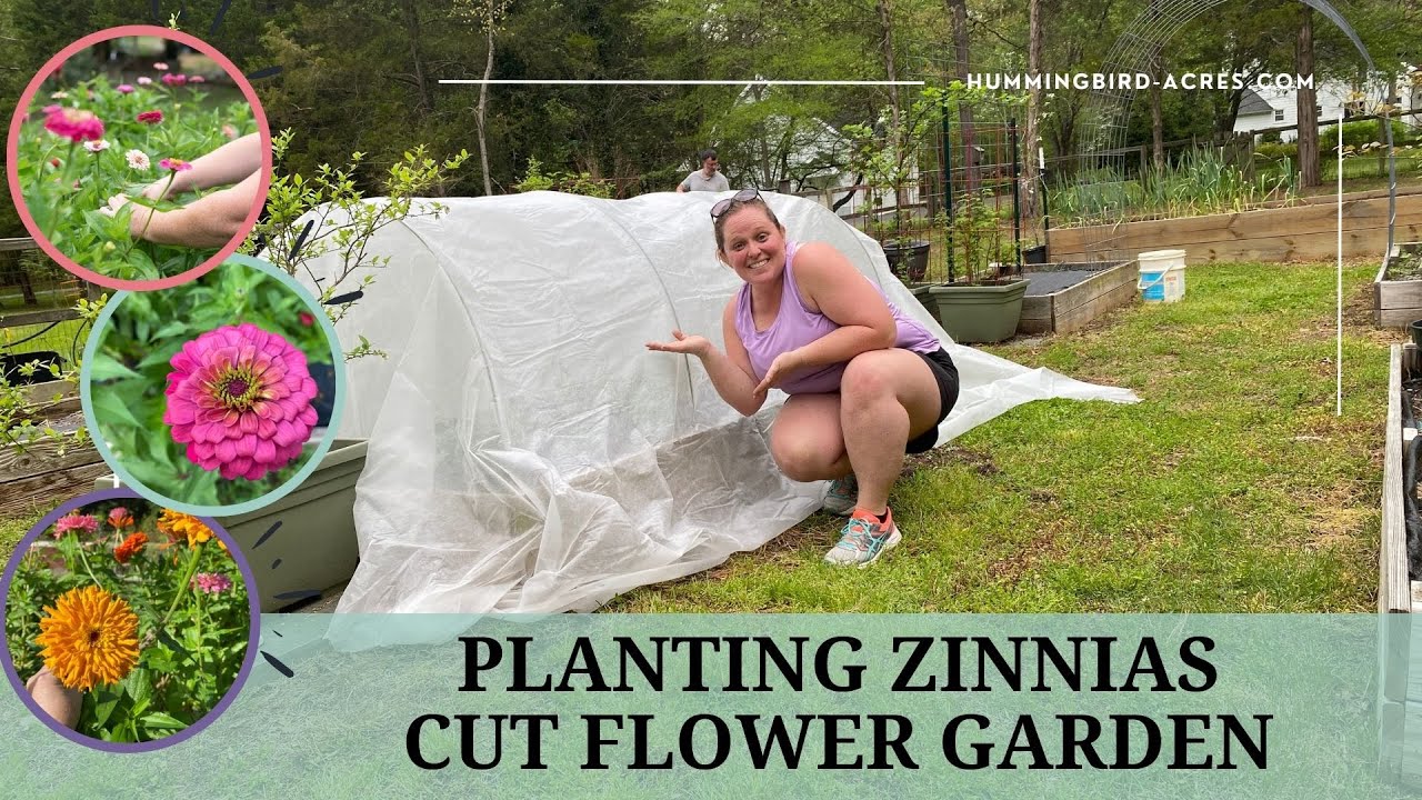 Planting Zinnias: Create a Cut Flower Garden! - YouTube
